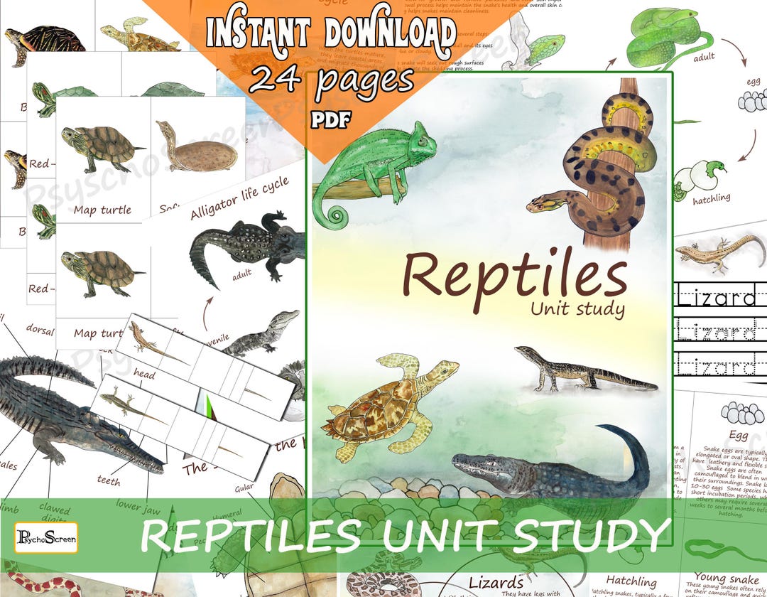 Bundle of REPTILE Unit Studies, Printable Snakes, Turtles, Tortoises ...