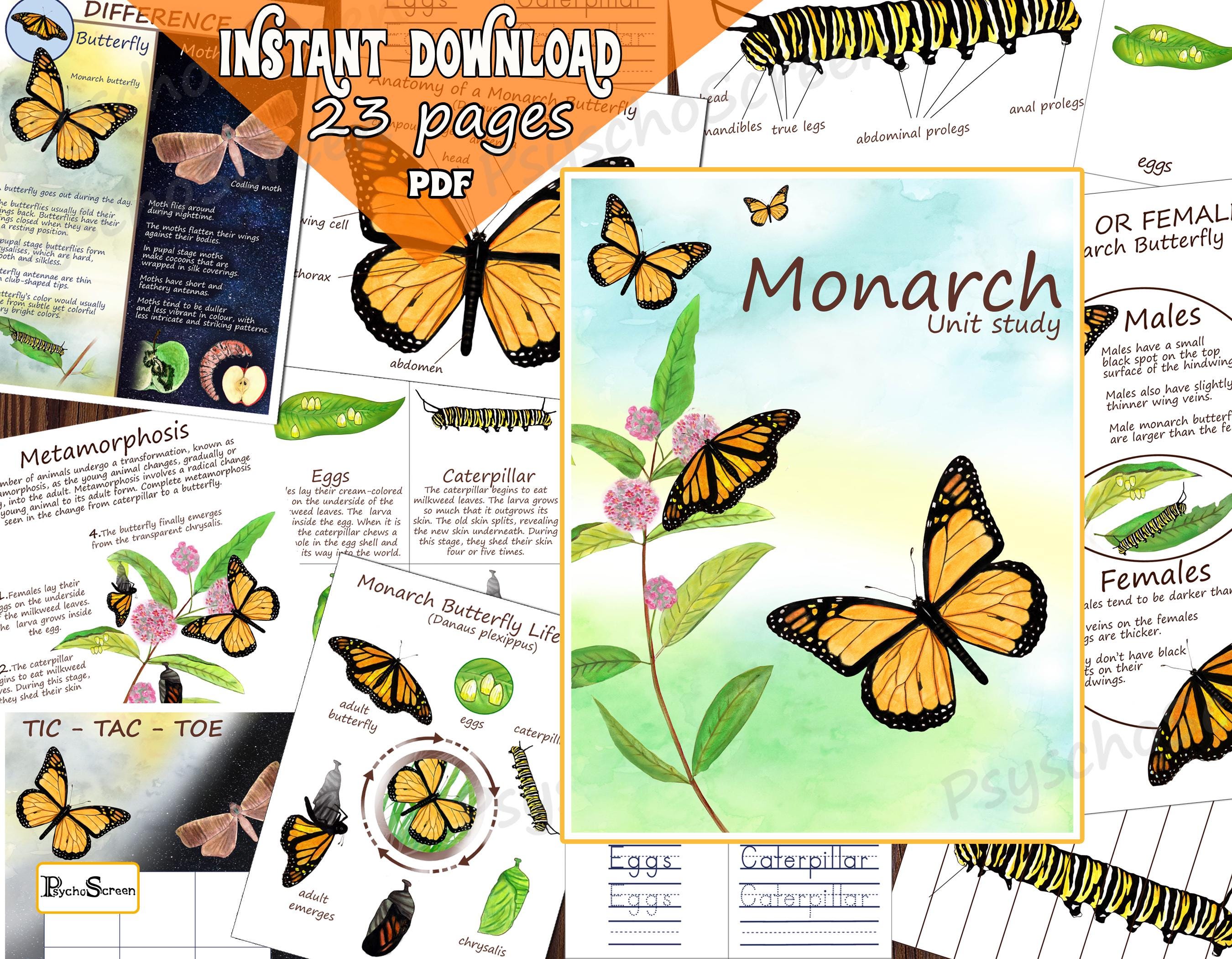 Monarch Butterfly Unit Study: Anatomy, Life Cycle, Montessori ...