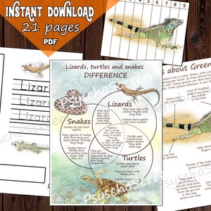 Lizards Unit Study: Anatomy, Life Cycle, Montessori Activities (PDF ...