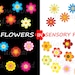 Nature Sensory Path Bundle: Autumn Leaves, Frogs, Flowers (digital ...