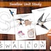 Swallow Unit Study MEGA Printable Swallows Bundle Barn Swallow Bird ...