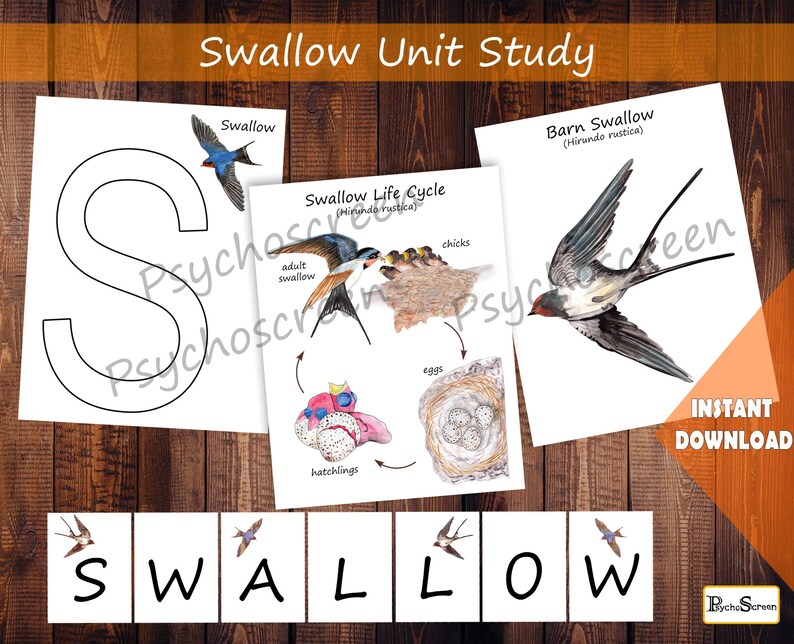 Swallow Unit Study MEGA Printable Swallows Bundle Barn | Etsy