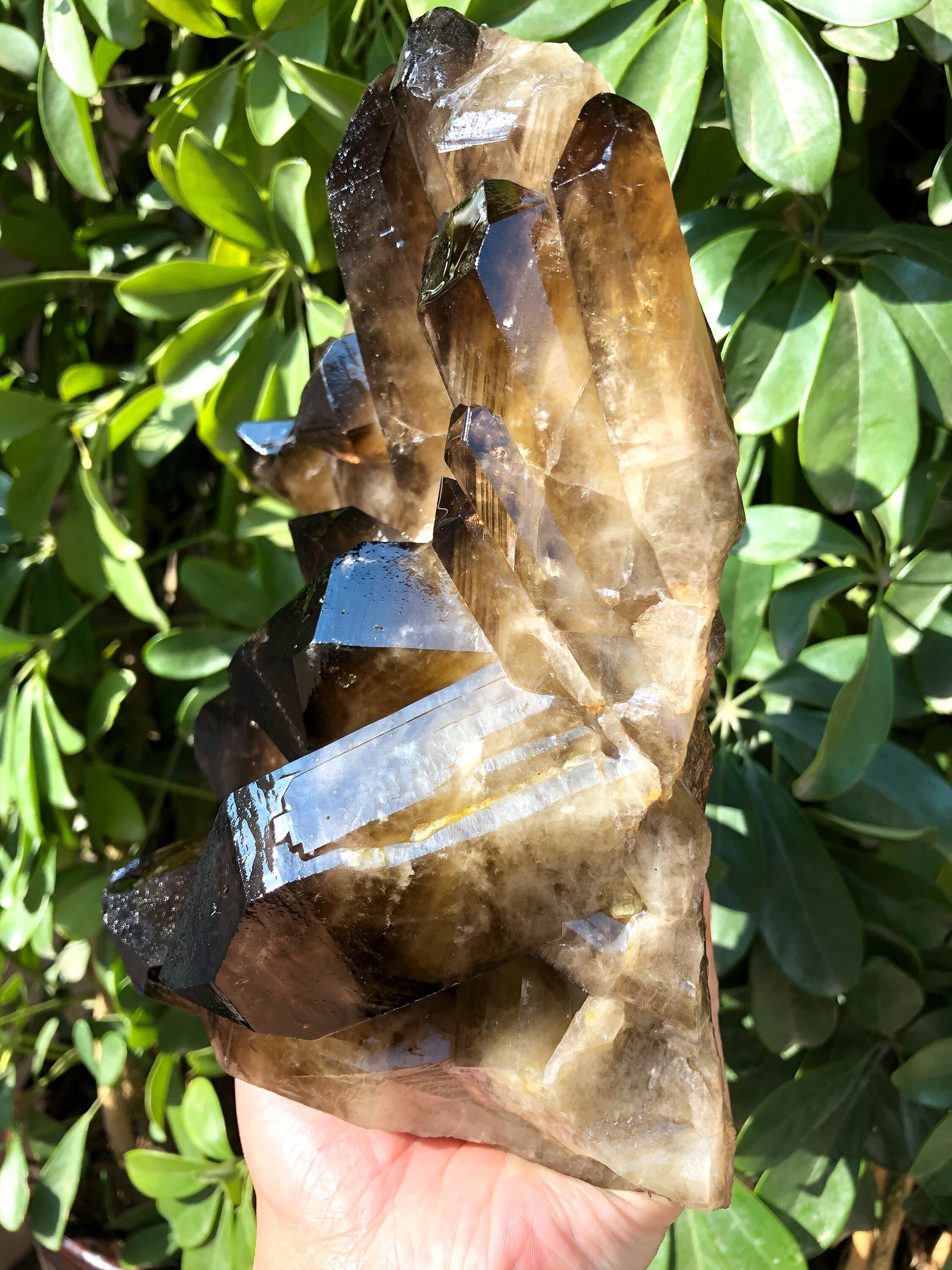 Large Raw Smoke Crystal + Yellow Crystal Crystal Cluster/quartz Cluster ...