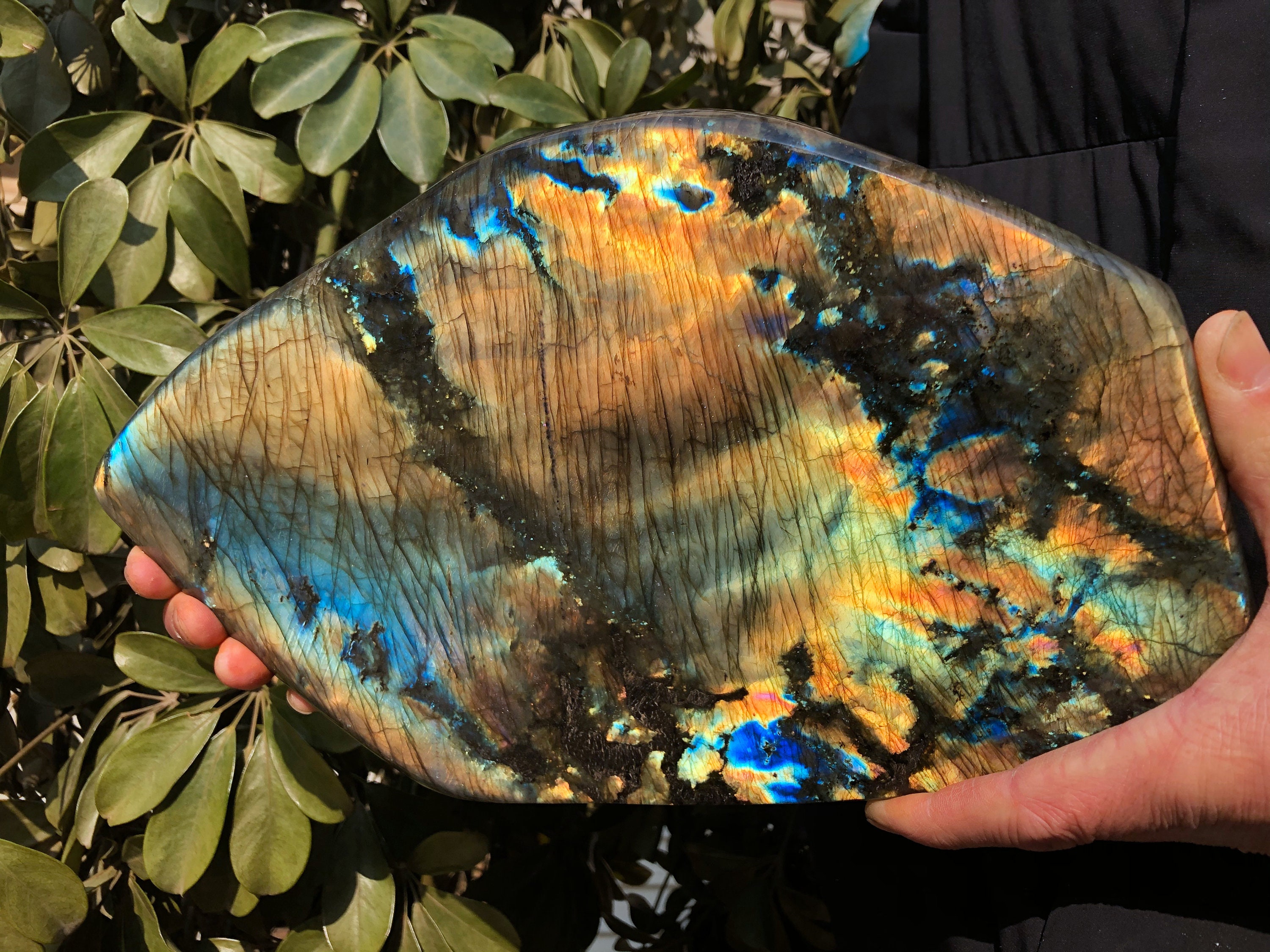 Large Labradorite /Shiny Polished Labradorite /Blue | Etsy