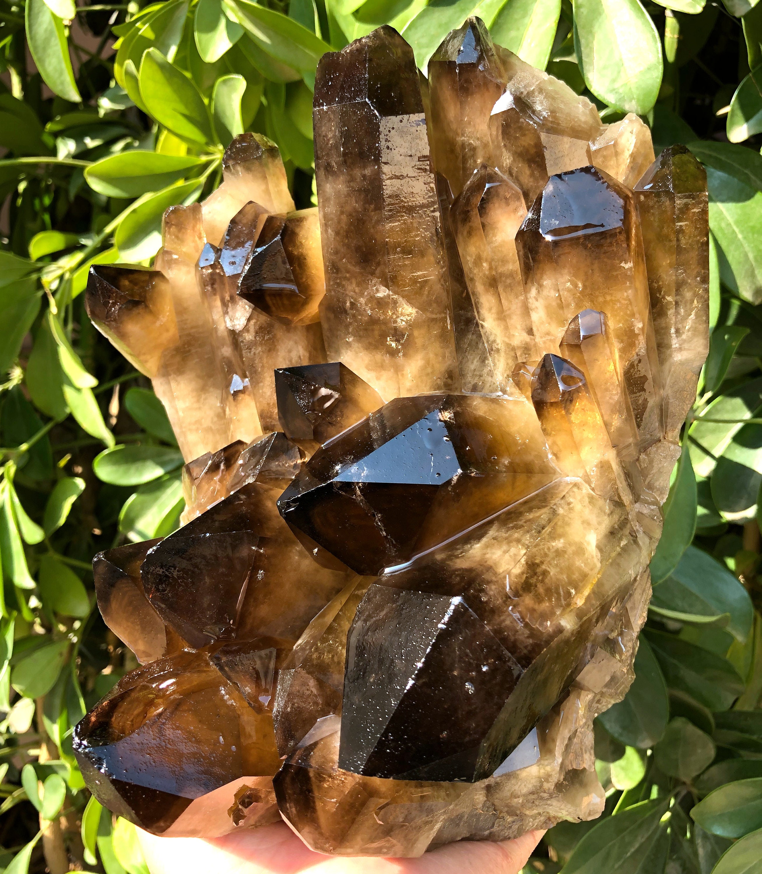 Large Raw Smoke Crystal Yellow Crystal Crystal | Etsy