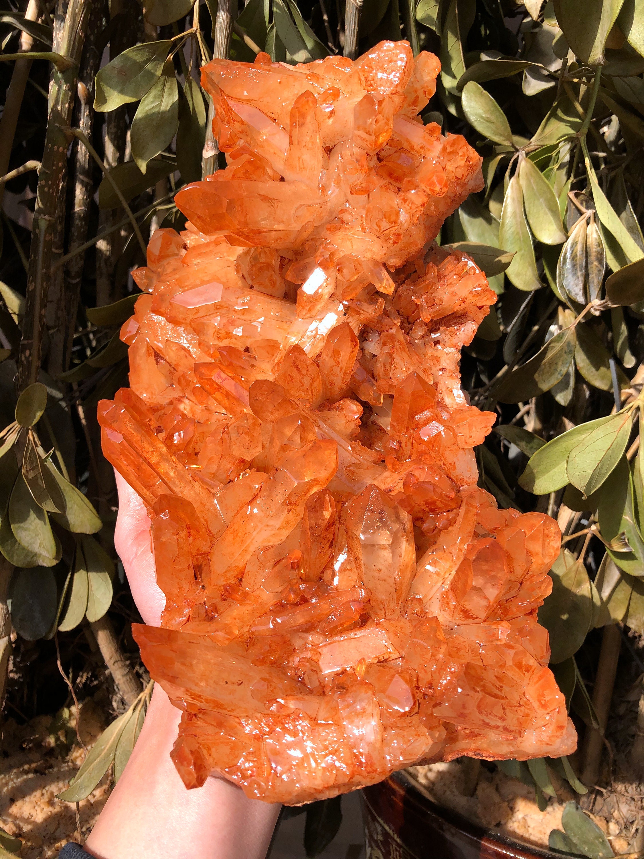 Natural Raw Red Crystal Cluster/red Abundance Quartz | Etsy