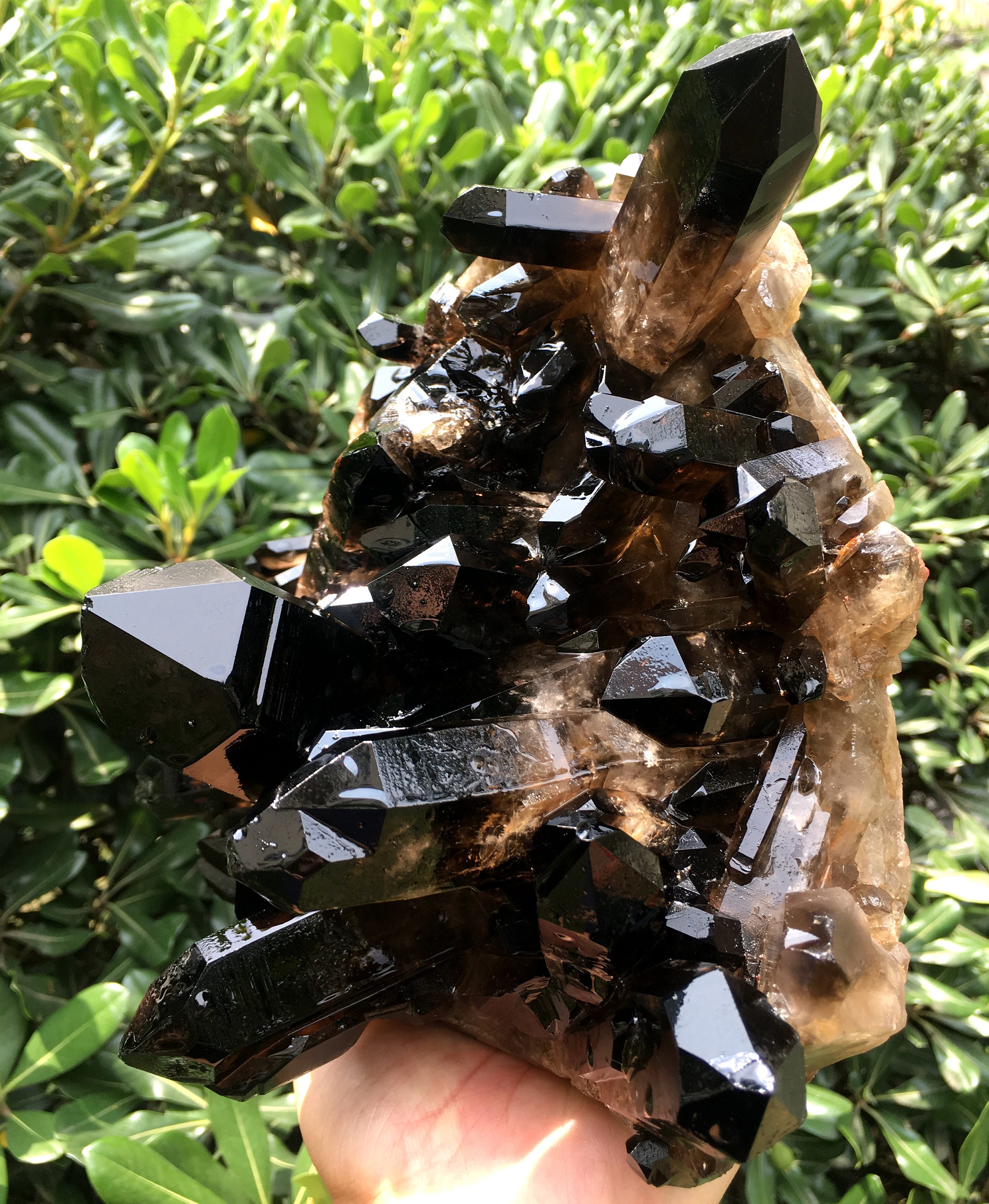 Top Large Raw Smoke crystal Cluster/Black Quartz | Etsy
