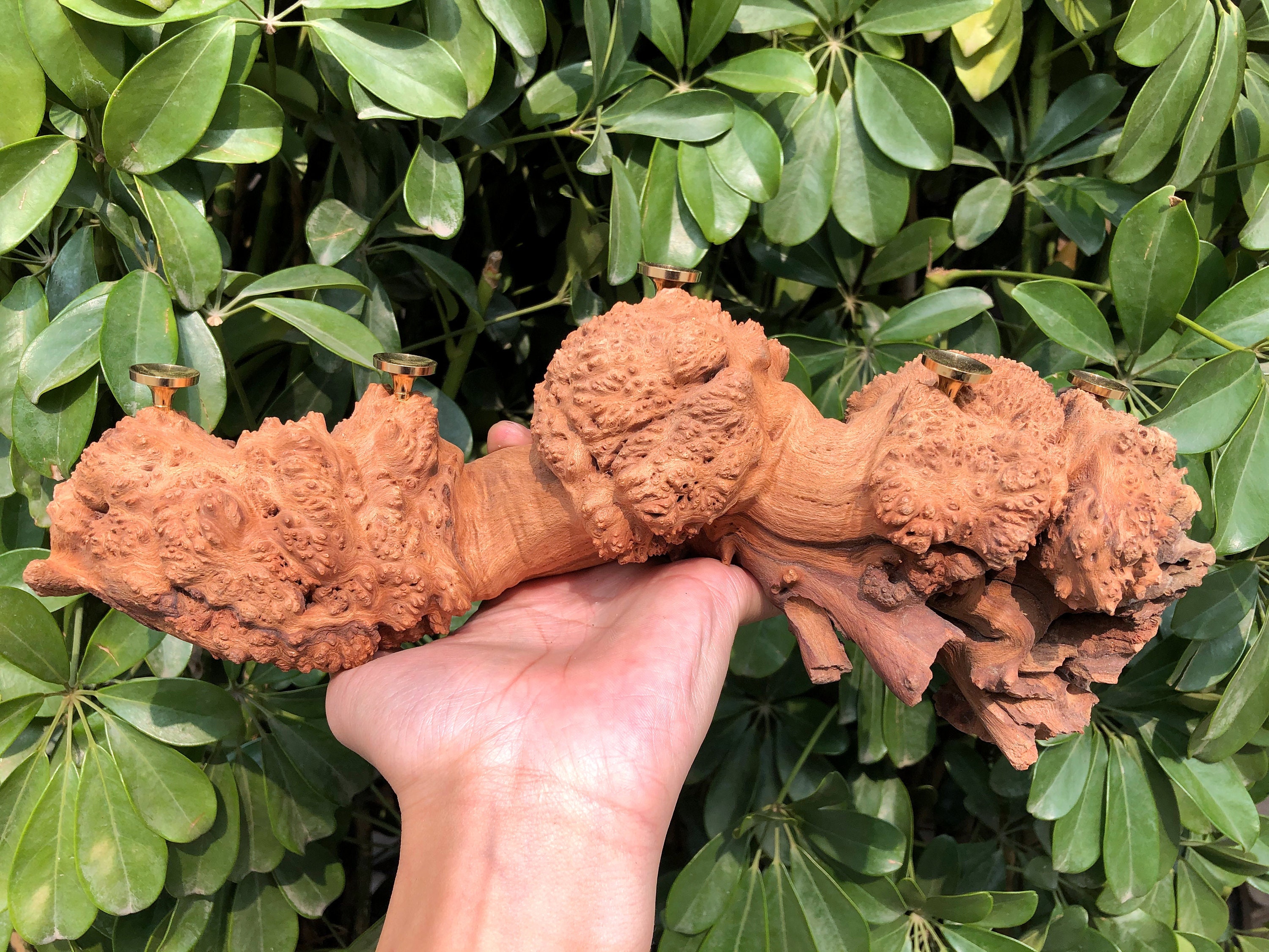 Natural Raw Wood Round Wooden Sphere/ball/specimen - Etsy