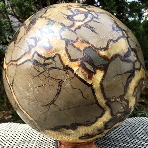 Natural Septarian Dragon Sphere /natural Septarian Ball/tumbled ...