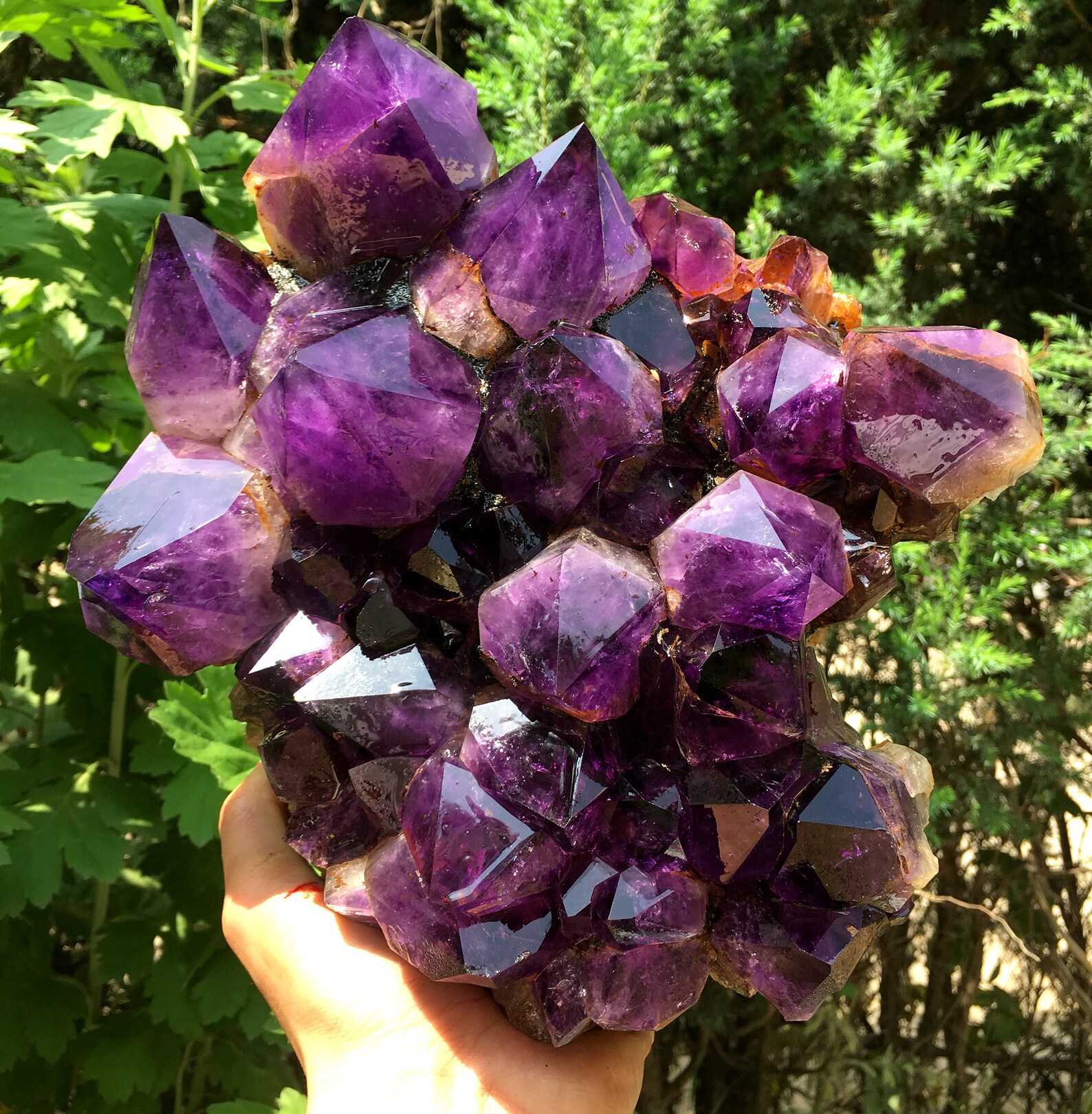 Top Natural Raw Crystal Specimen-fascinating - Etsy