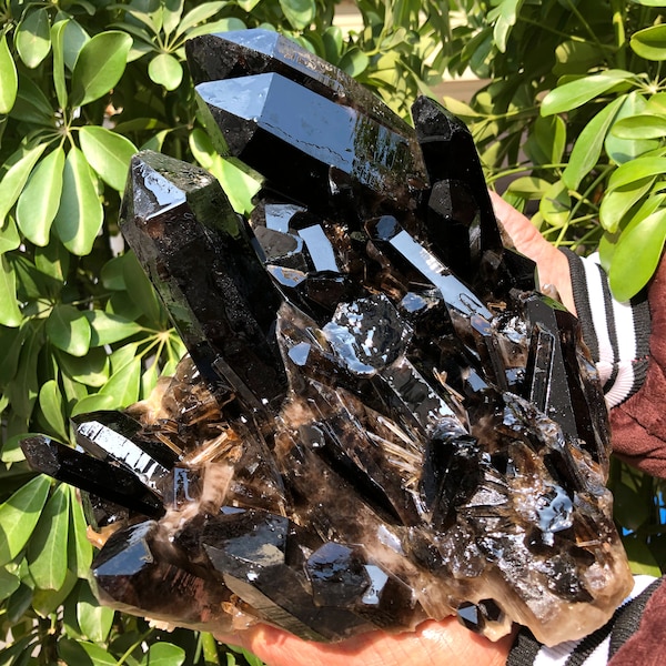 Crystal Plate - Etsy