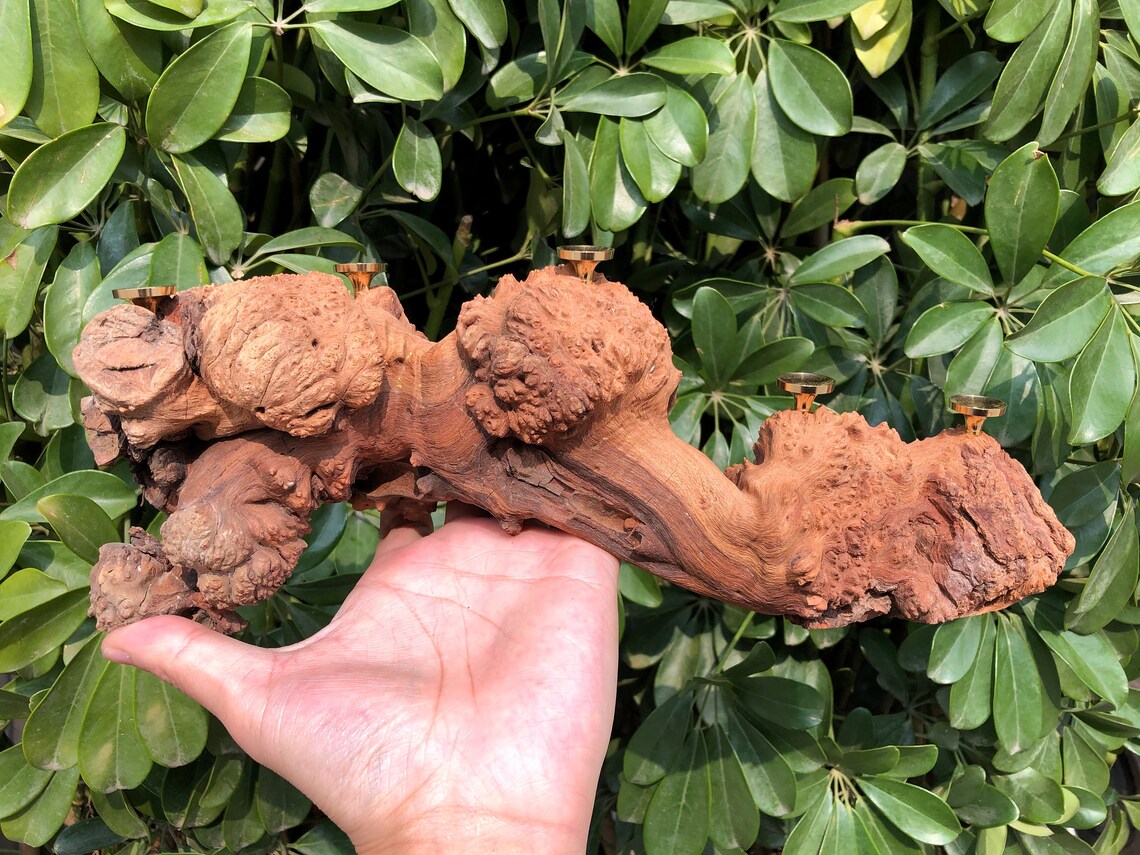 Natural Raw Wood Round Wooden Sphere/ball/specimen - Etsy