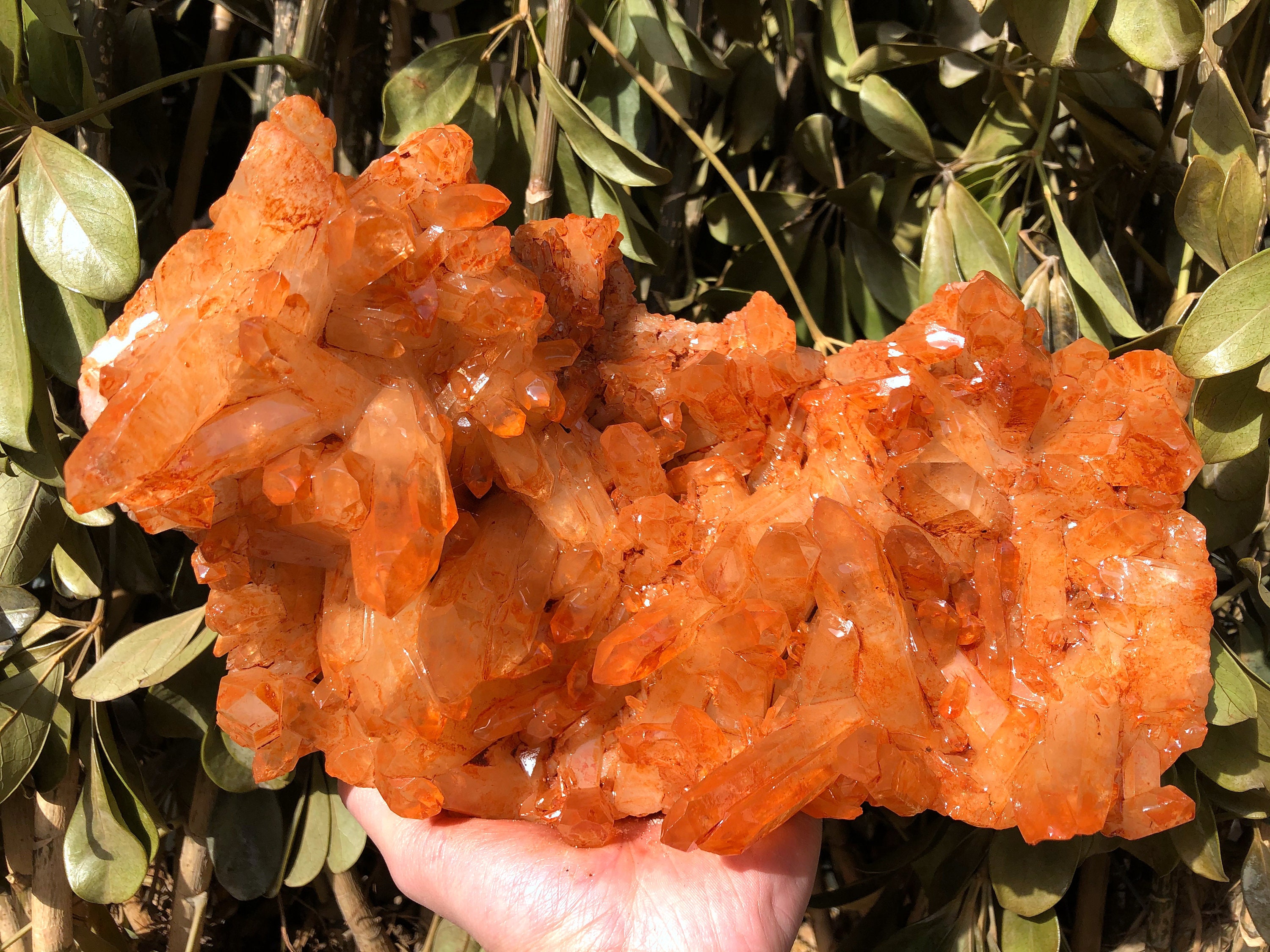 Natural Raw Red Crystal Cluster/red Abundance Quartz | Etsy