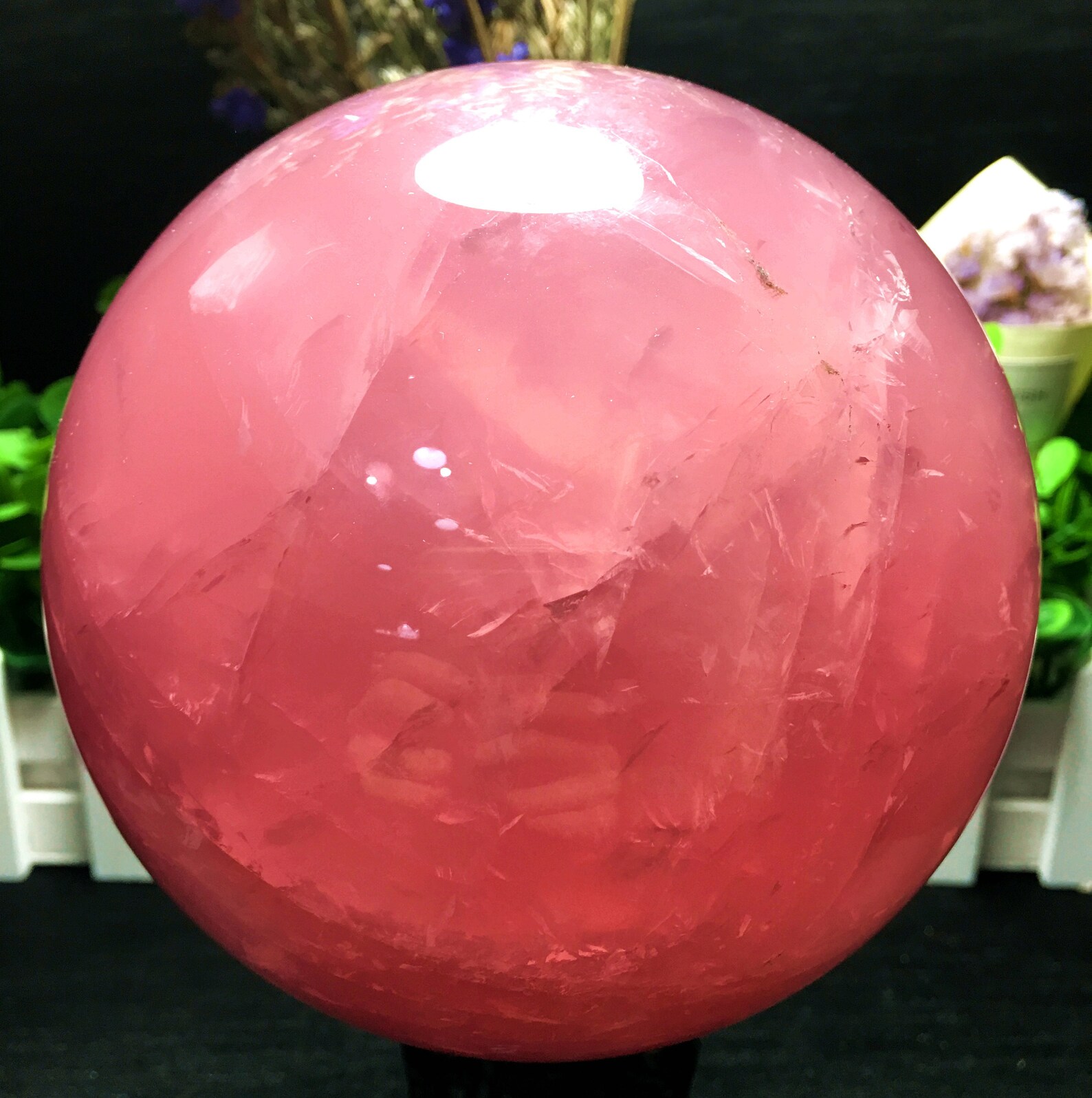 High quality Star Rose Quartz Polished Sphere/Rose Crystal | Etsy