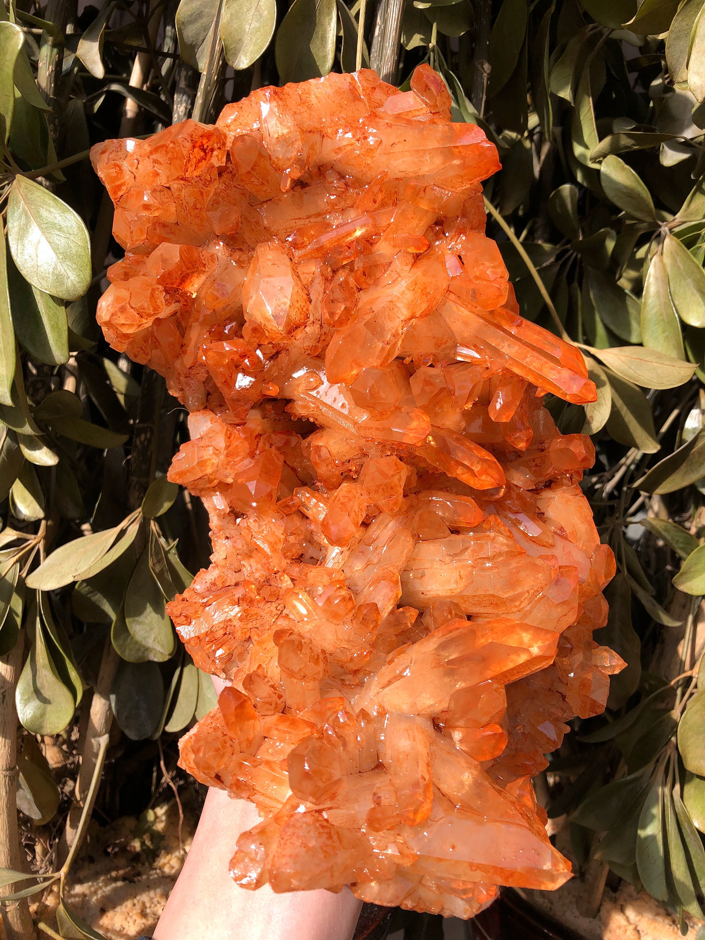 Natural Raw Red Crystal Cluster/red Abundance Quartz | Etsy