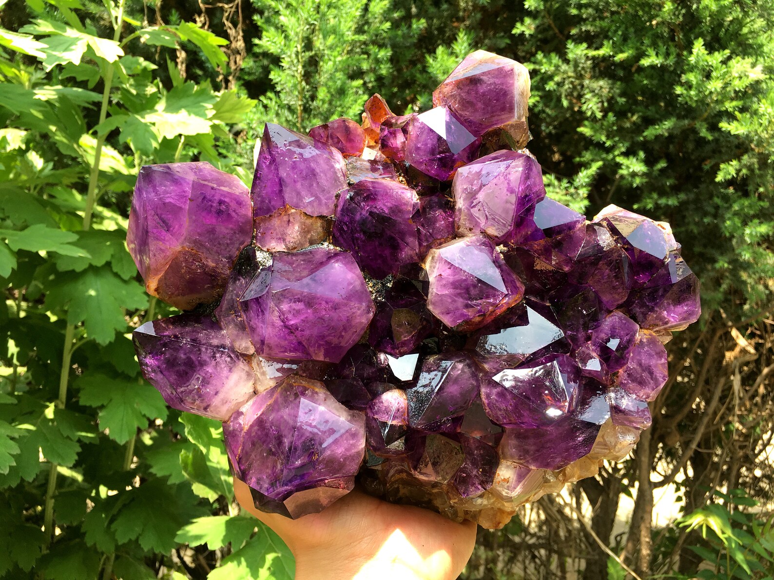 Top Natural Raw Crystal Specimen-fascinating - Etsy