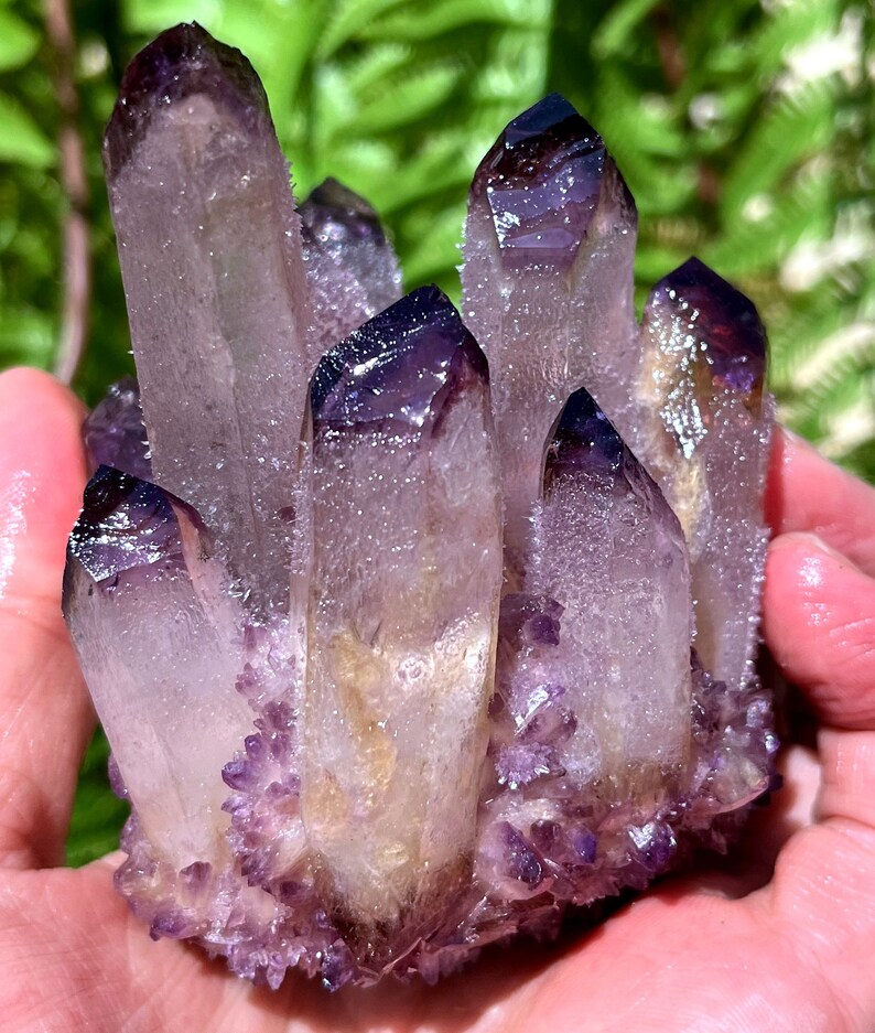 Purple Cactus Quartz Cluster/stunning Clear Points With - Etsy