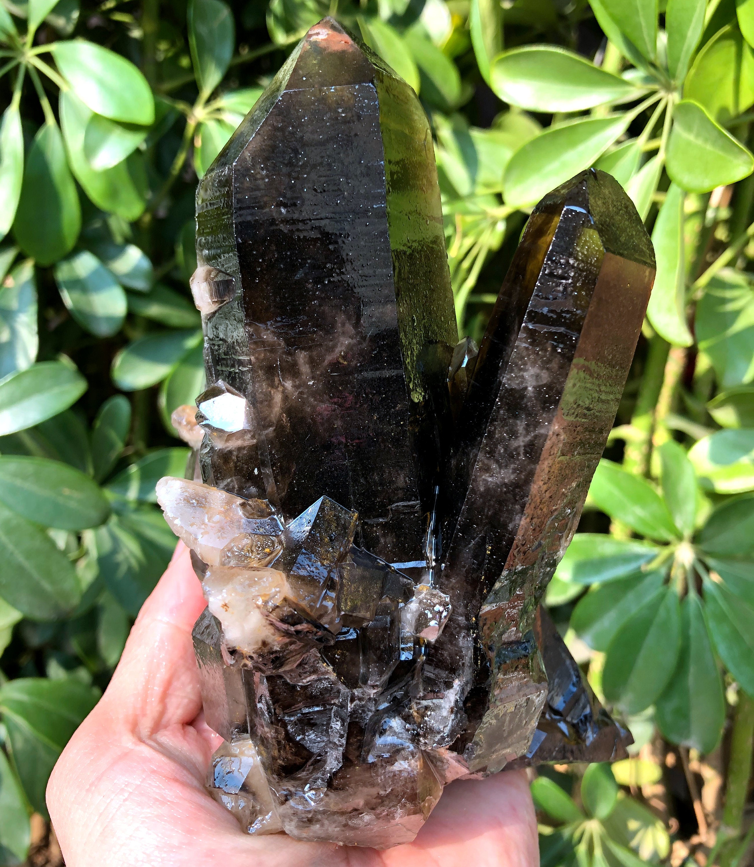 Top Large Raw black Crystal Cluster/Black Quartz | Etsy
