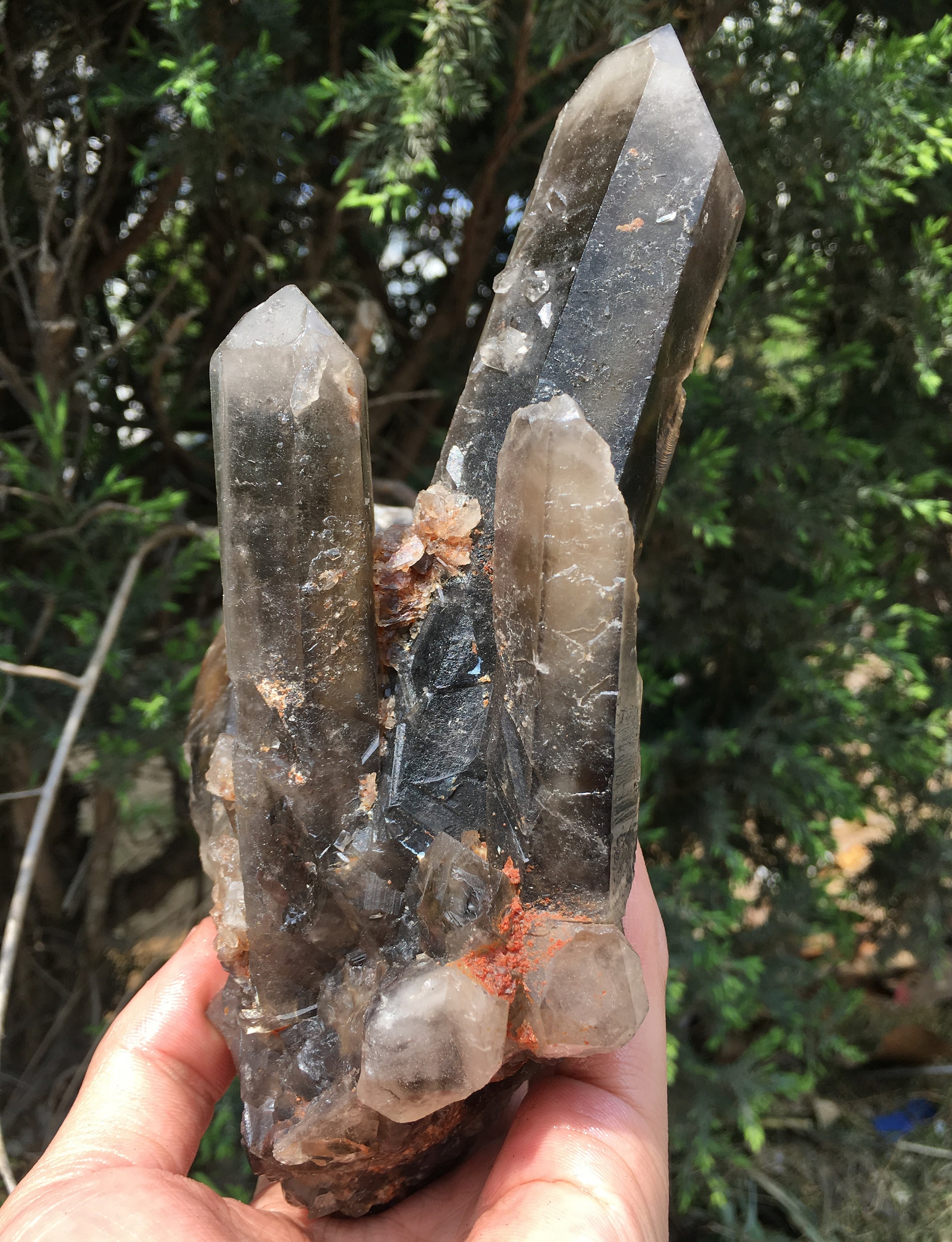 Top Large Raw black Crystal Cluster/Black Quartz | Etsy