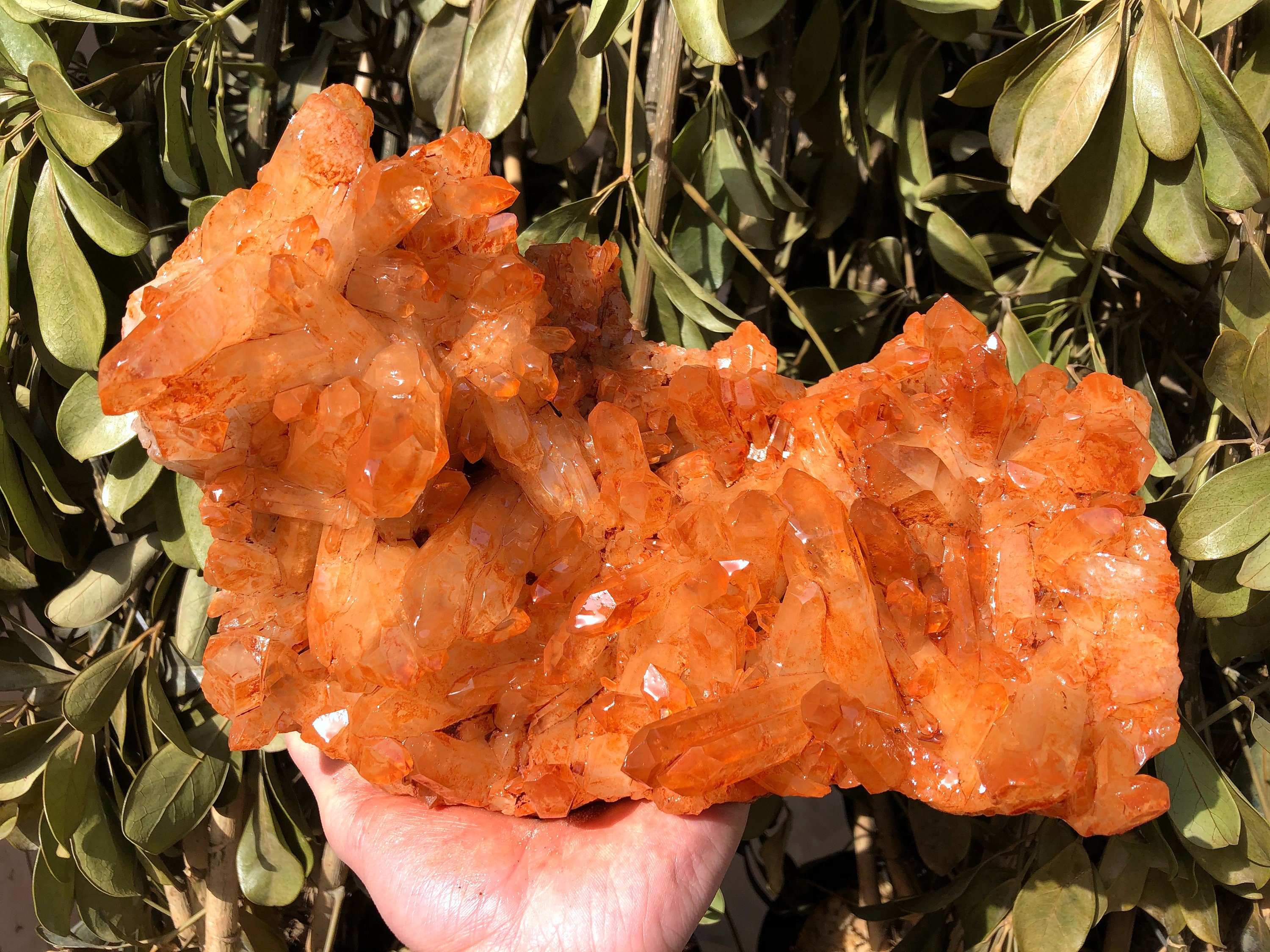 Natural Raw Red Crystal Cluster/red Abundance Quartz | Etsy