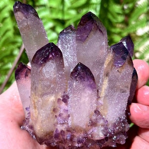 Purple Cactus Quartz Cluster/stunning Clear Points With Phantom ...