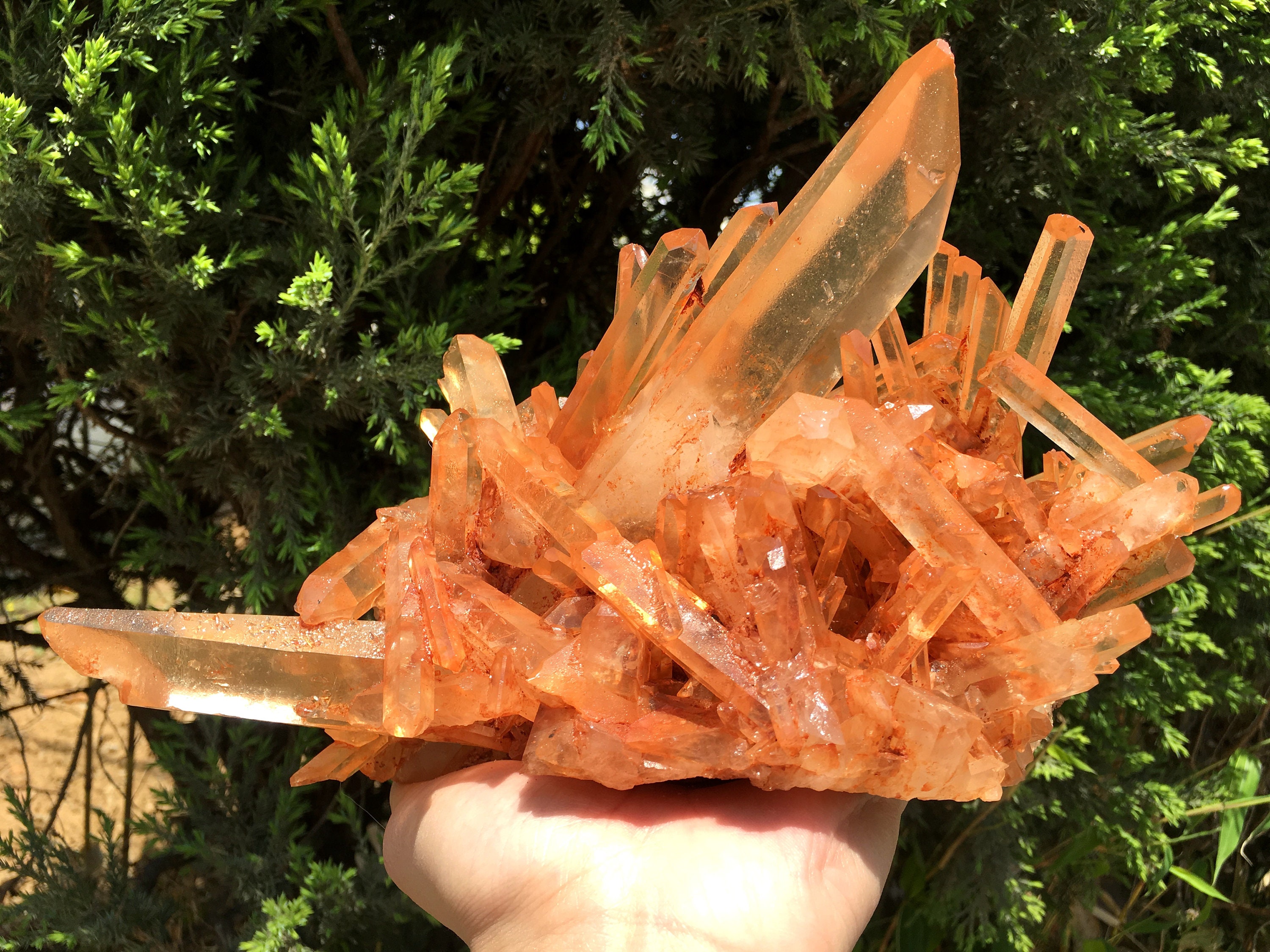 Natural Raw Red Crystal Cluster/red Abundance Quartz | Etsy