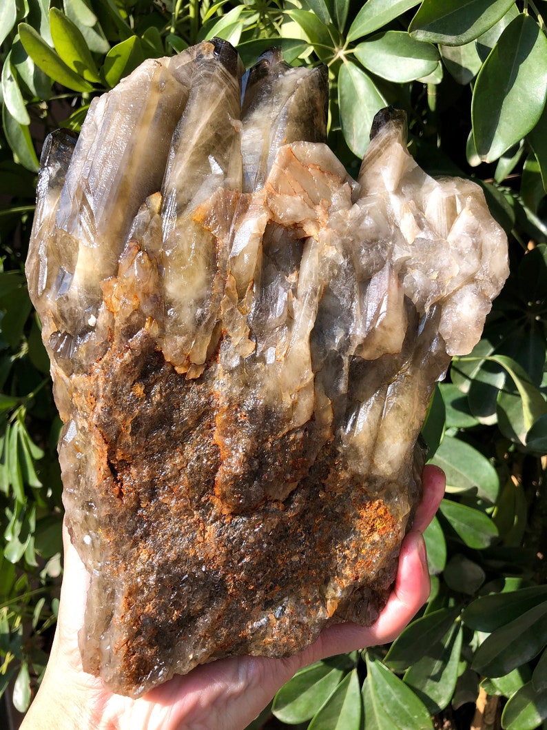 Large Raw Smoke Crystal Yellow Crystal Crystal - Etsy