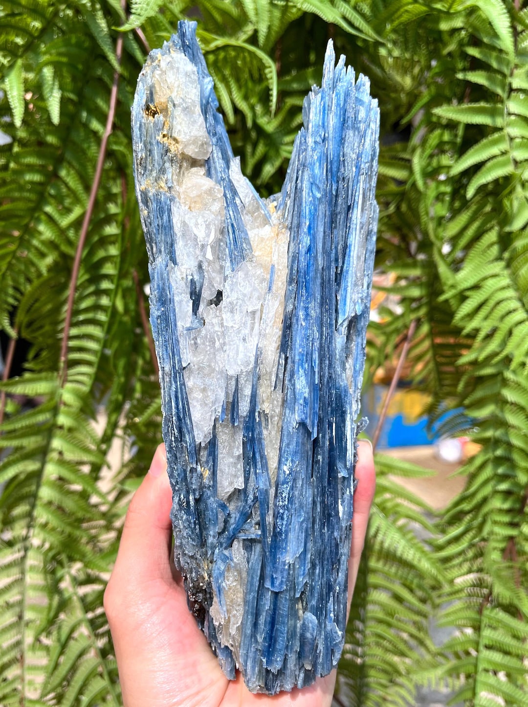 Natural Large Rare Kyanite/blue Kyanite/feng Shui/meditation/special ...