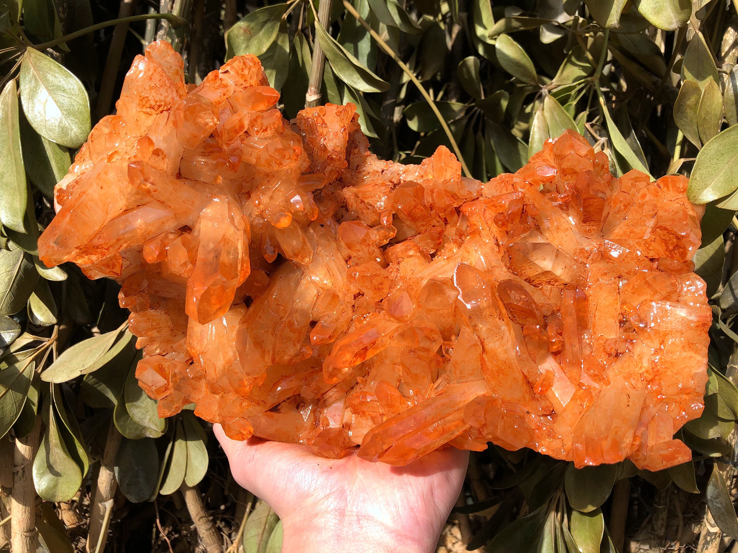 Natural Raw Red Crystal Cluster/red Abundance Quartz | Etsy