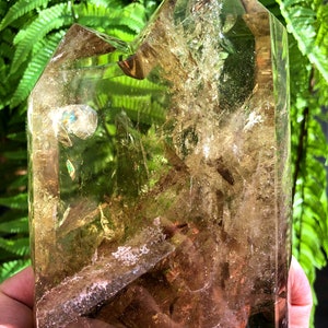 Natural Large Transparent Headed Yellow Citrine Crystal Quartz Point ...