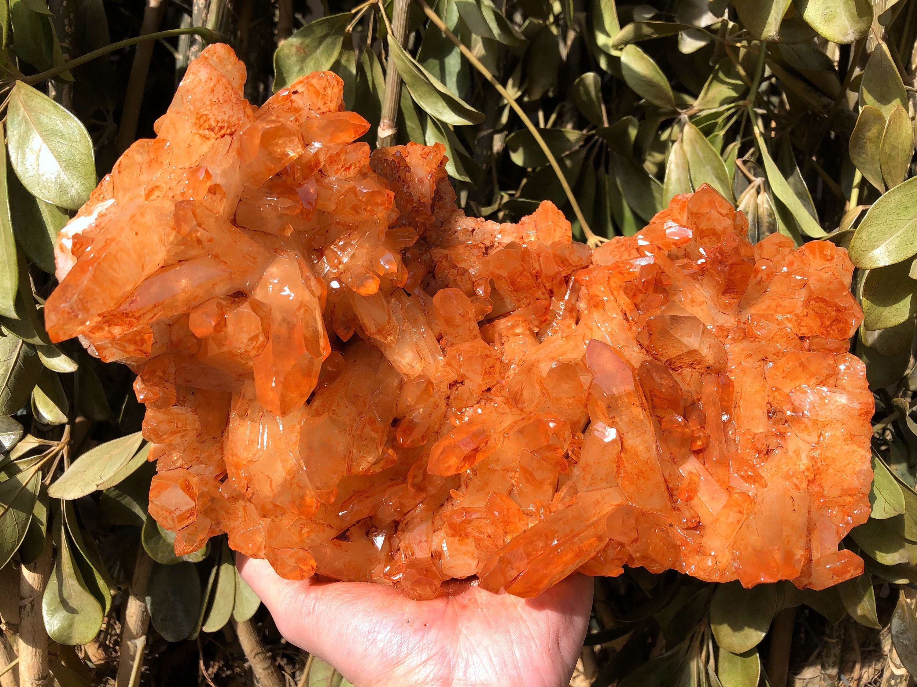 Natural Raw Red Crystal Cluster/red Abundance Quartz | Etsy