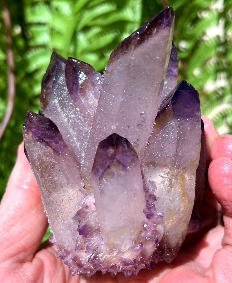 Purple Cactus Quartz Cluster/stunning Clear Points With - Etsy
