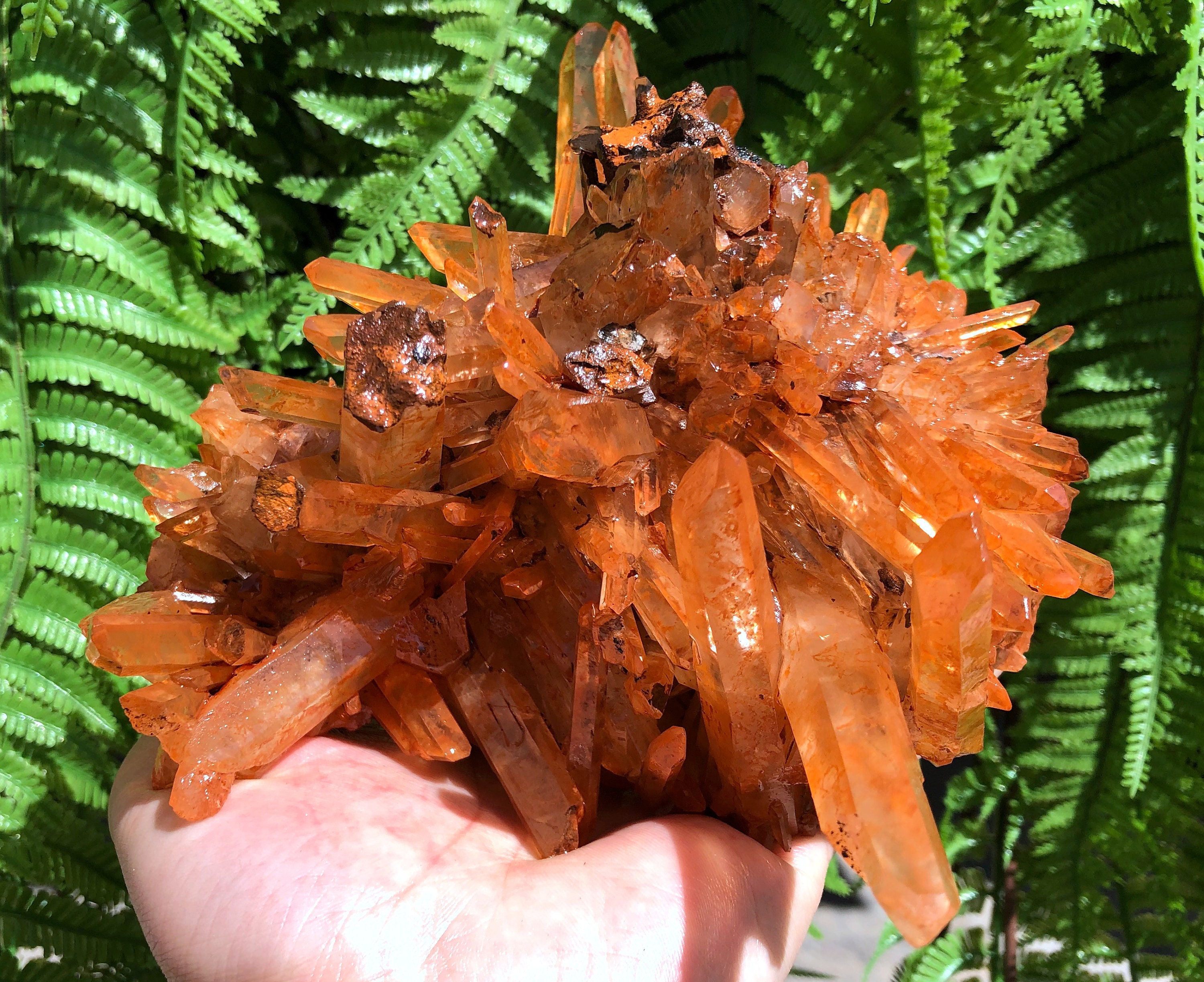LARGE Raw Himalaya Clear Abundance Quartz Cluster/red | Etsy