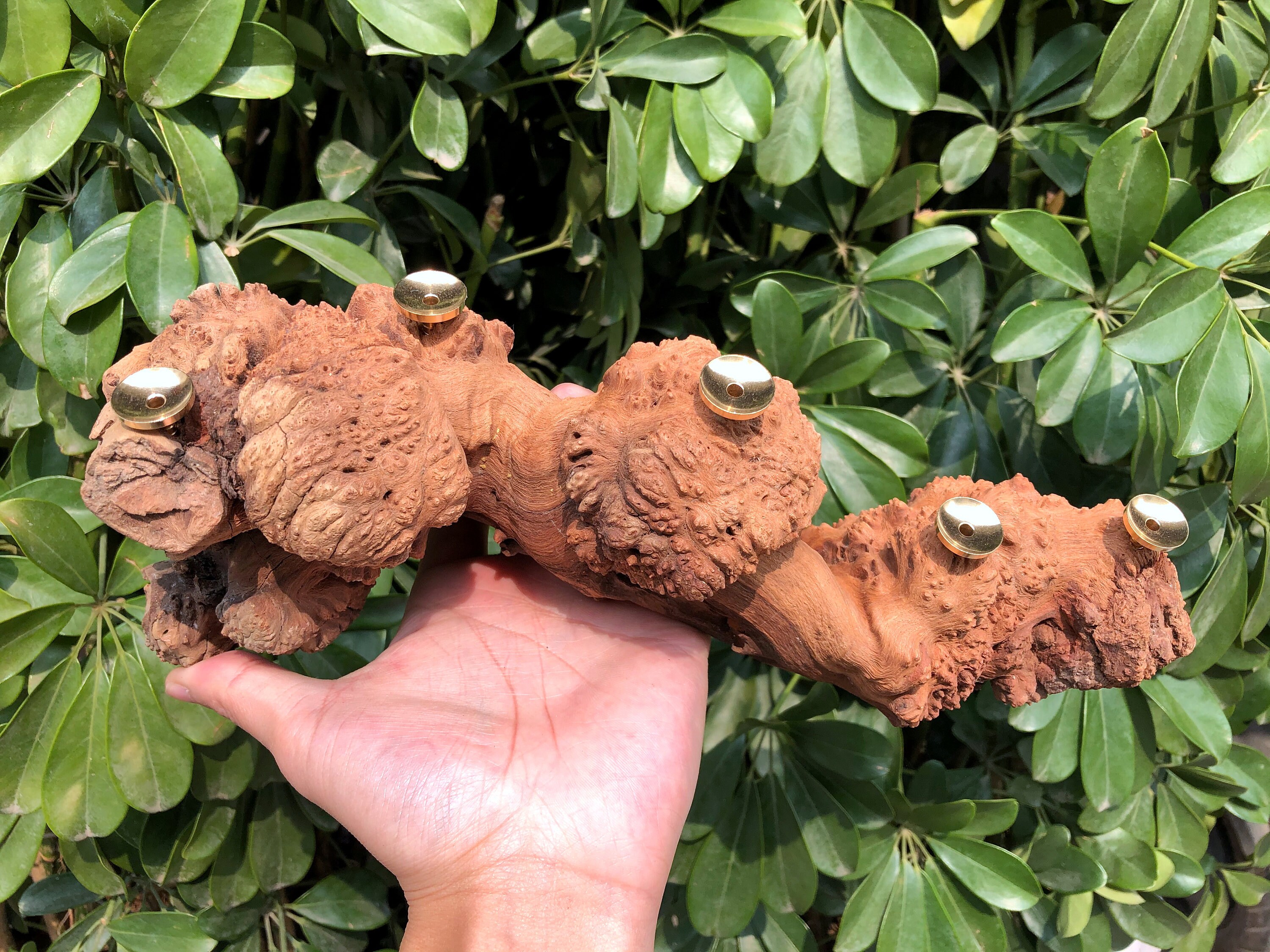 Natural Raw Wood Round Wooden Sphere/ball/specimen - Etsy