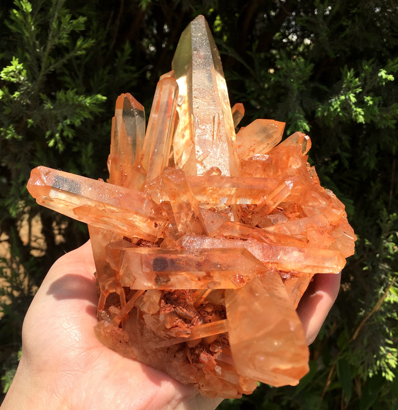 Natural Raw Red Crystal Cluster/red Abundance Quartz | Etsy