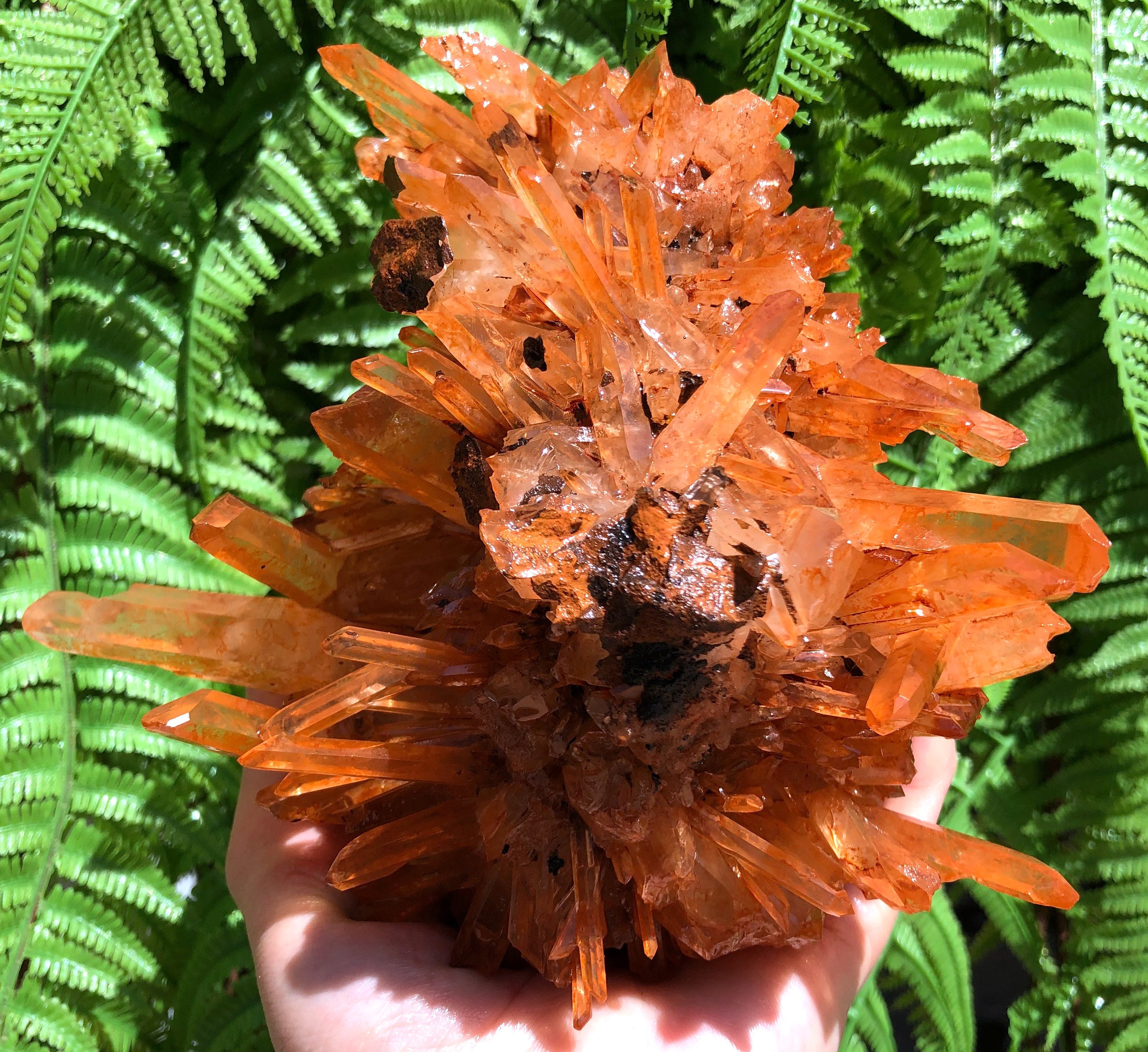 LARGE Raw Himalaya Clear Abundance Quartz Cluster/red | Etsy
