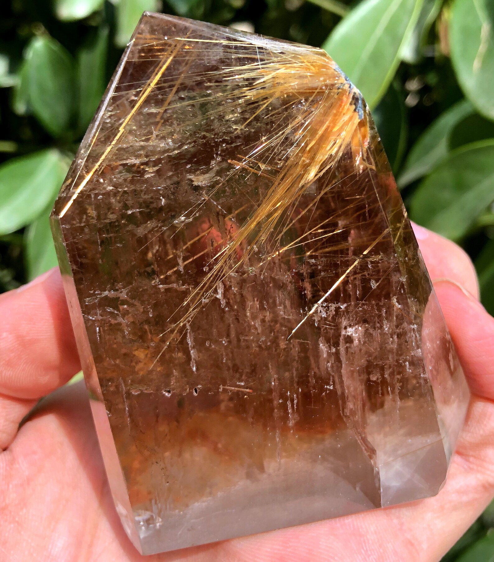 Rare Large Clear Golden Rutilated Inclusions Quartz - Etsy
