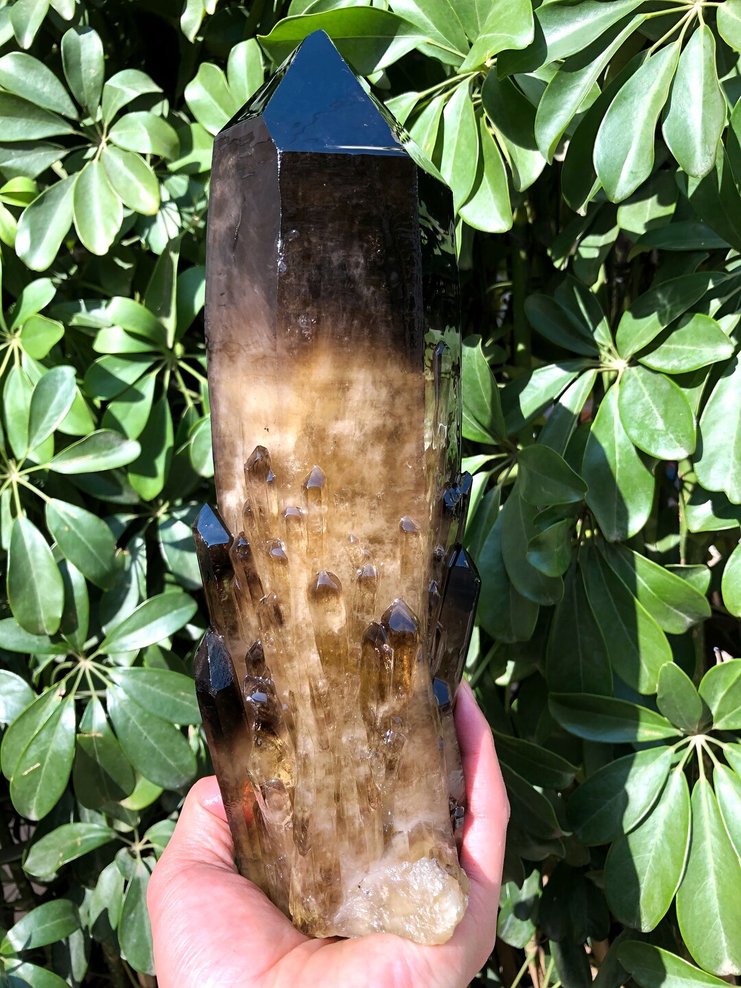 Top Large Raw Black Crystal Cluster/black Quartz Cluster/quartz Cluster ...