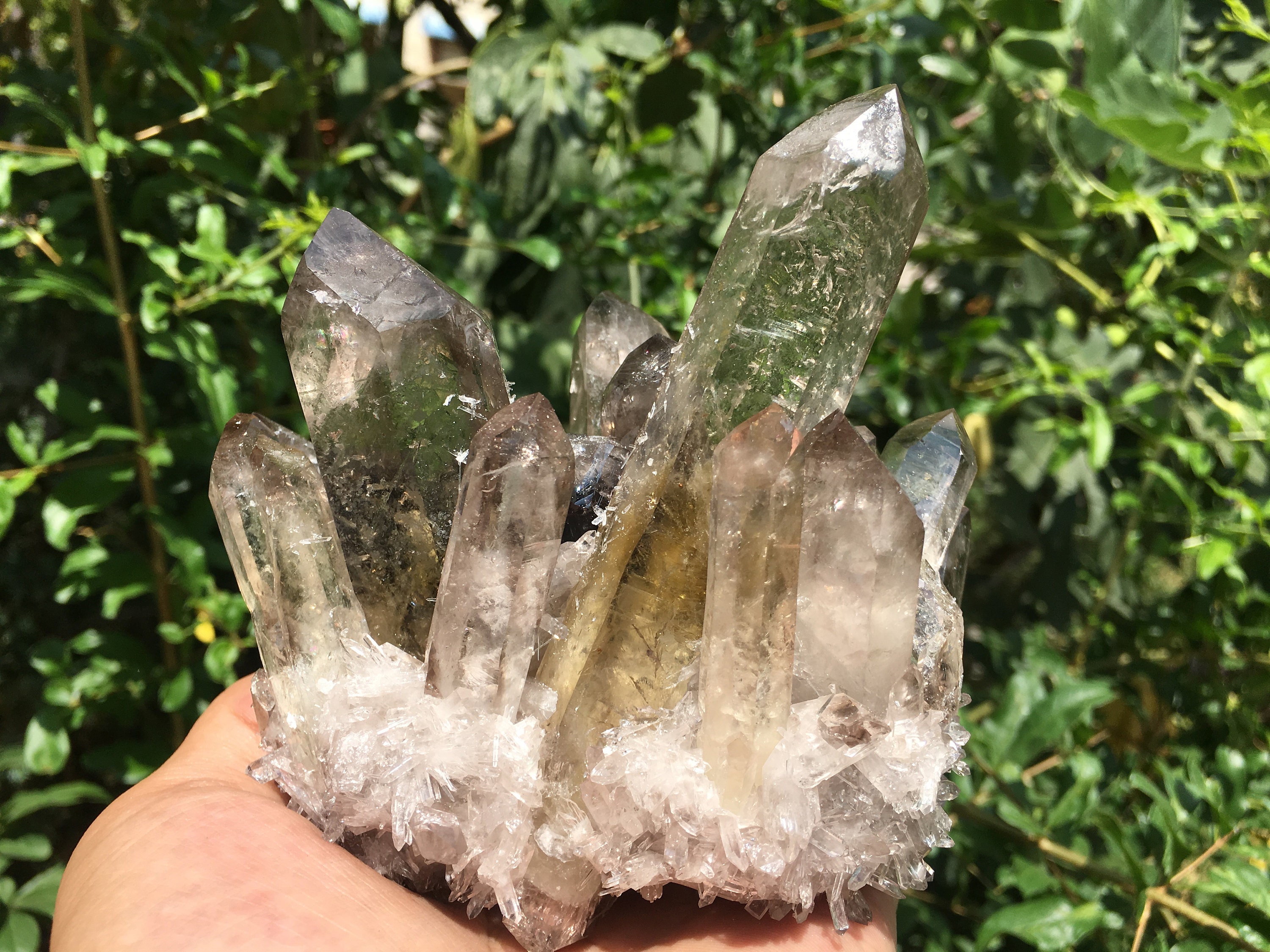 Angel Aura Quartz Smoke Crystal Cluster/Black Quartz | Etsy