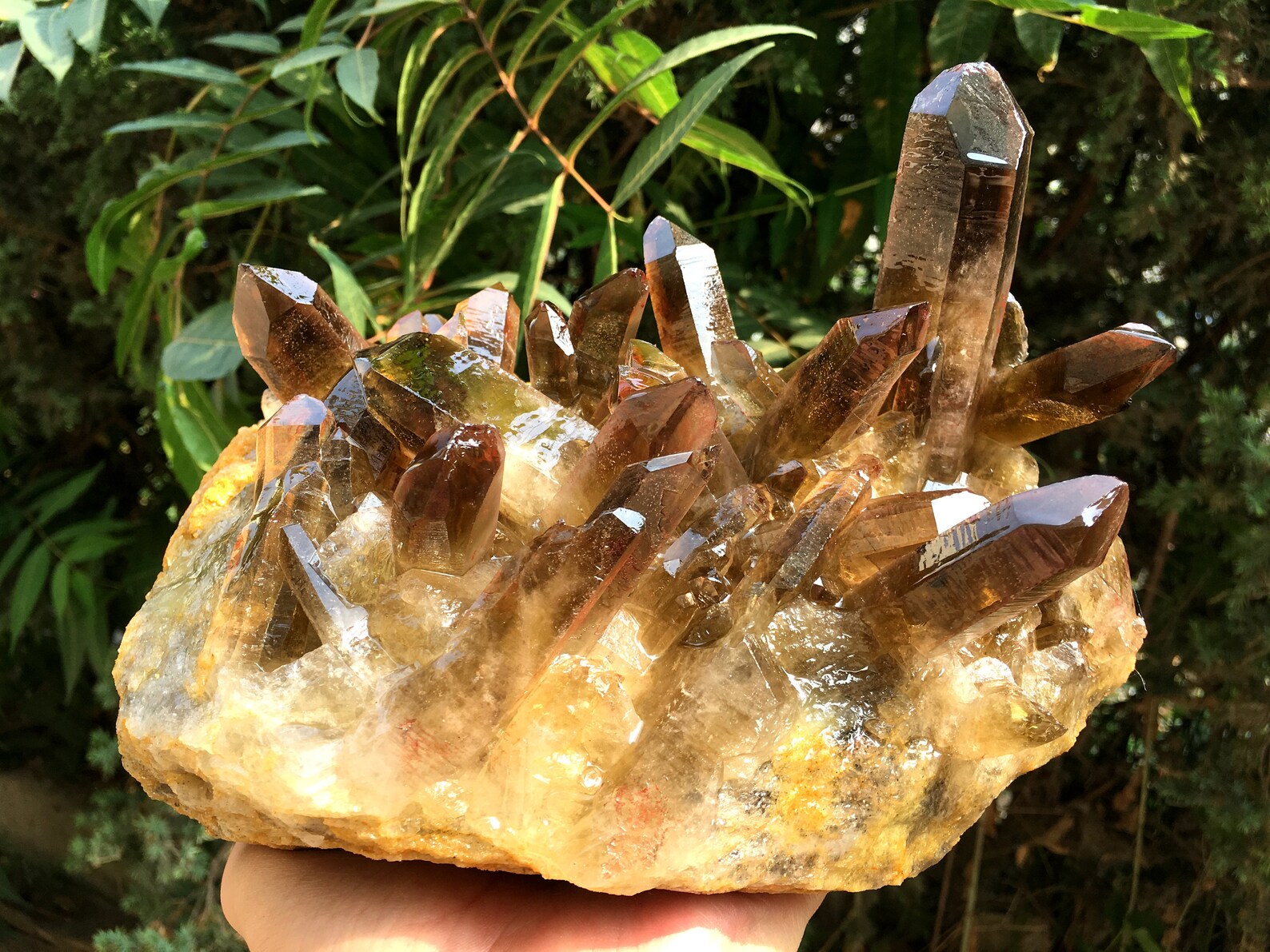 Top Large Raw Yellow Crystal Cluster/yellow Quartz Cluster/quartz ...