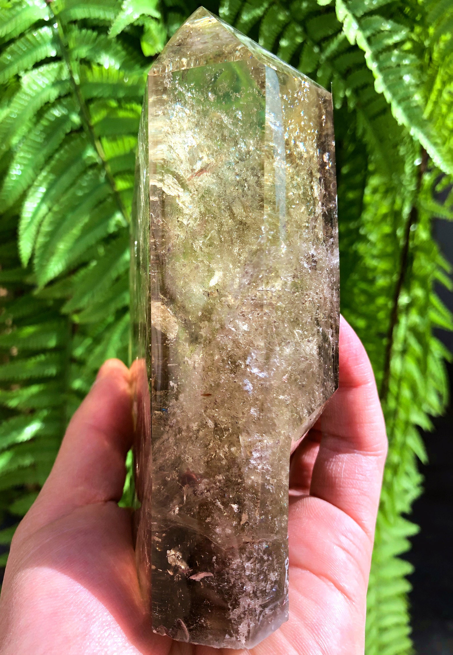 Natural Large Transparent Headed Yellow Citrine Crystal Quartz Point ...