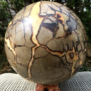 Natural Septarian Dragon Sphere /natural Septarian Ball/tumbled ...