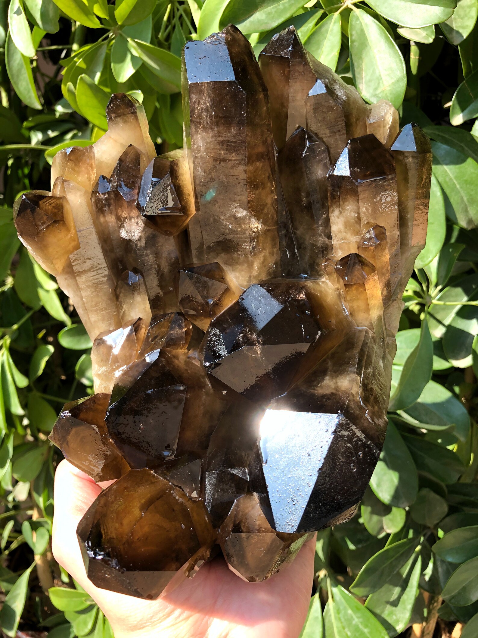 Large Raw Smoke Crystal Yellow Crystal Crystal - Etsy