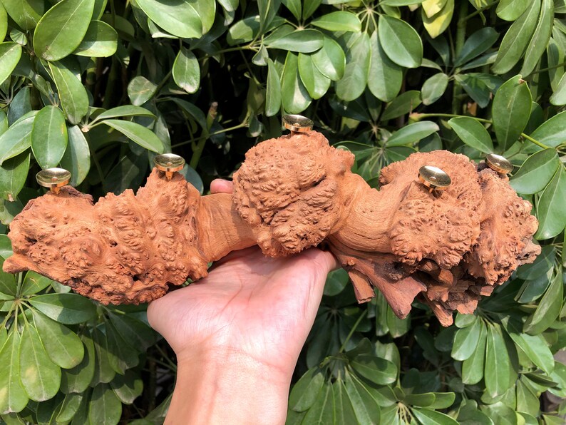 Natural Raw Wood Round Wooden Sphere/ball/specimen - Etsy