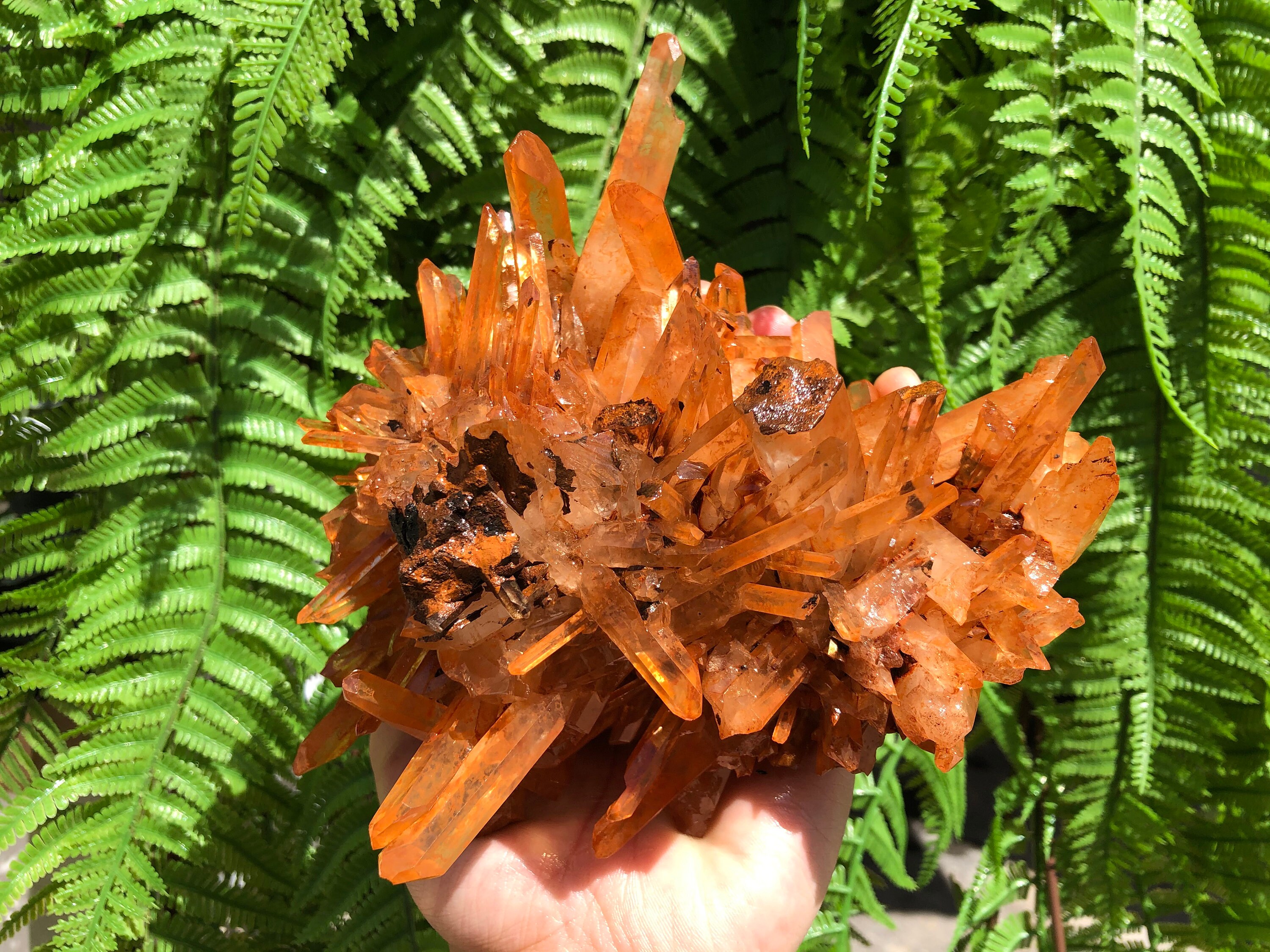 LARGE Raw Himalaya Clear Abundance Quartz Cluster/red | Etsy