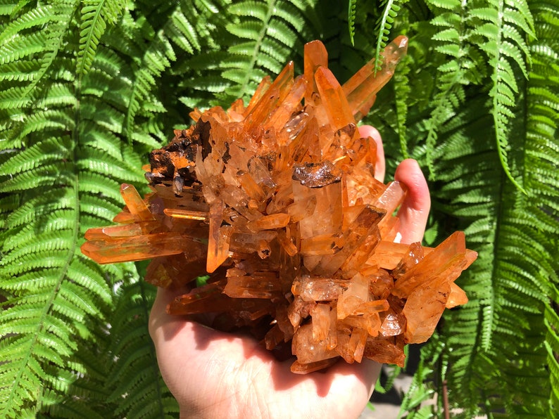 LARGE Raw Himalaya Clear Abundance Quartz Cluster/red - Etsy