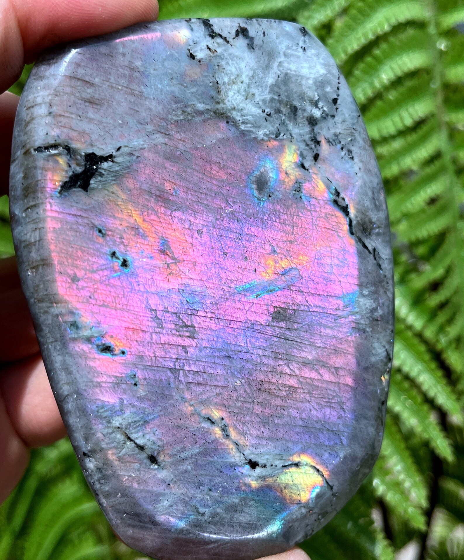 Hand Carved Sheen Labradorite Crystal Quartz Dragon/flying Dragon/shiny ...
