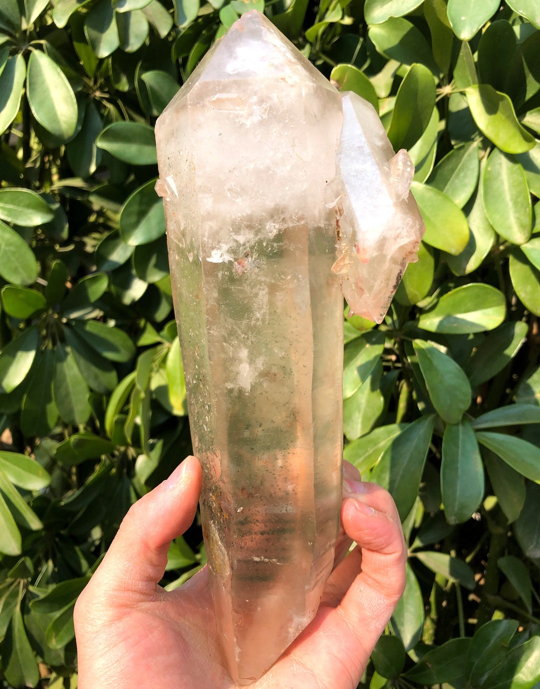 Huge Natural Skeleton Crystal/contain Inside Phantom Quartz Crystal ...