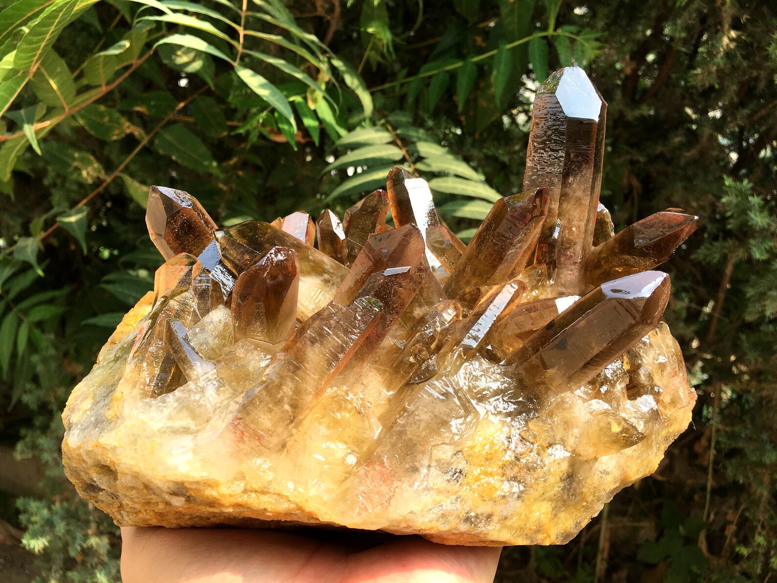 Top Large Raw Yellow Crystal Cluster/yellow Quartz - Etsy