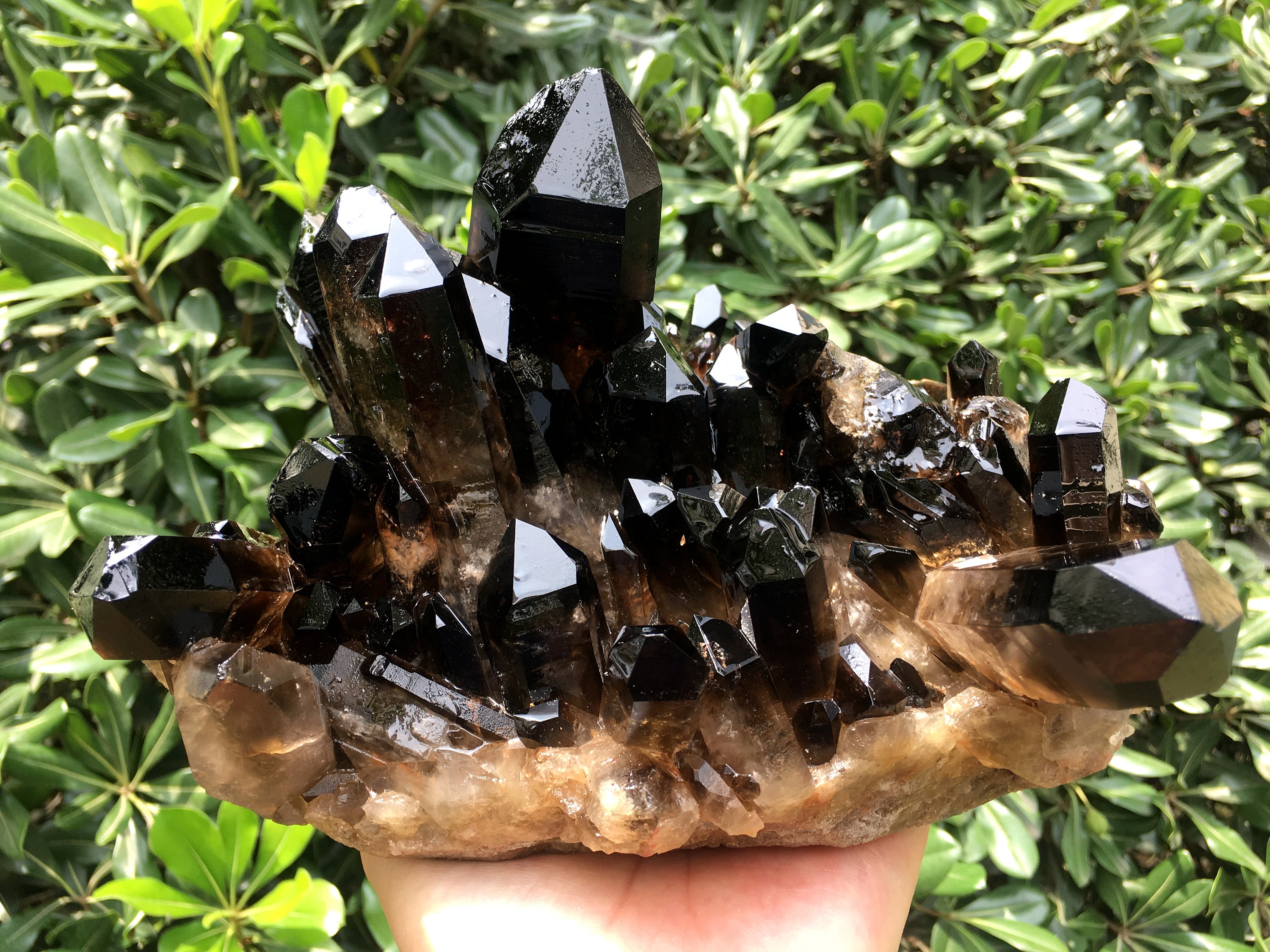Top Large Raw Smoke crystal Cluster/Black Quartz | Etsy
